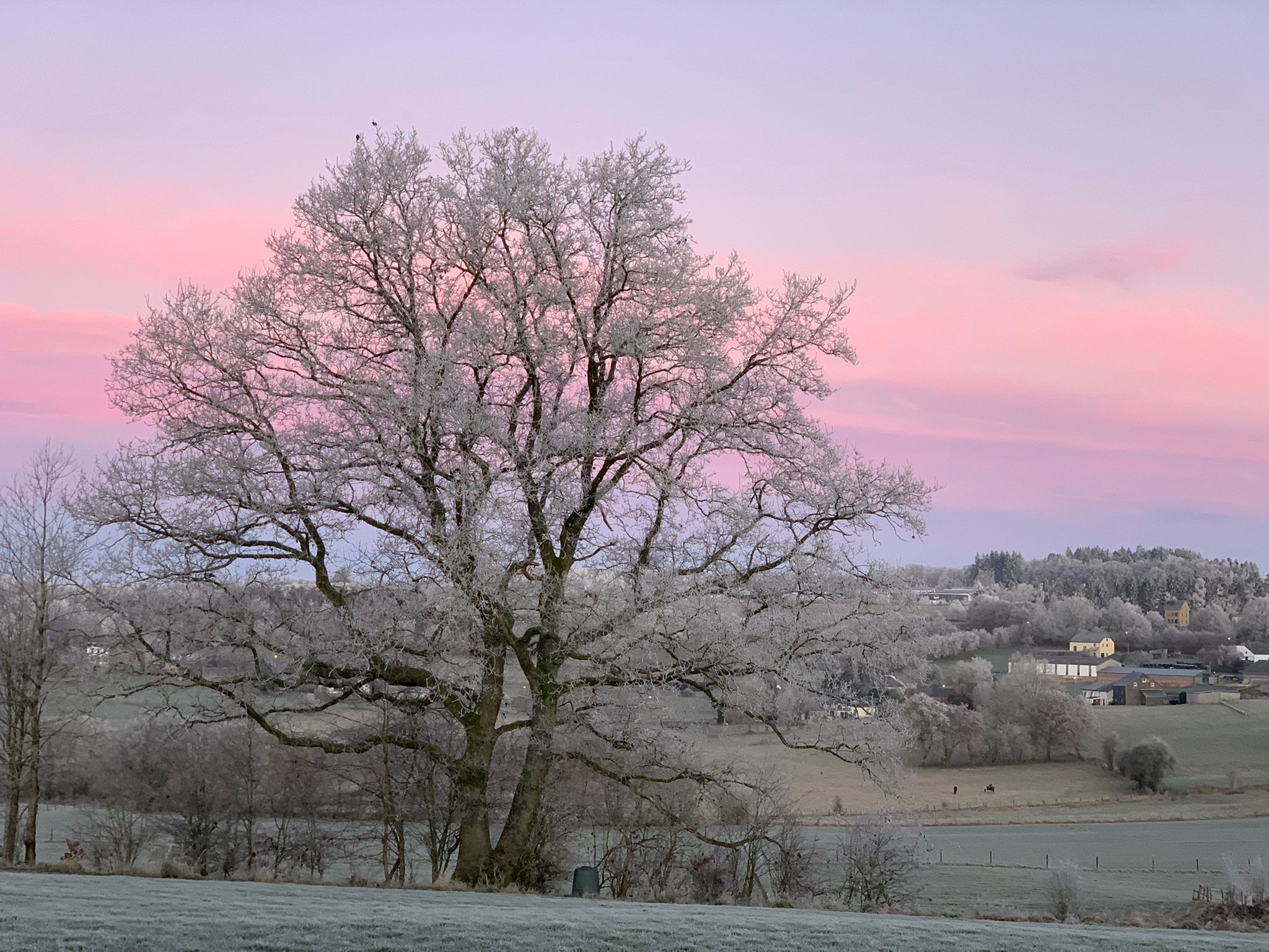 Ard'Envie, le gagnant du concours photo de l'hiver - Marque Ardenne